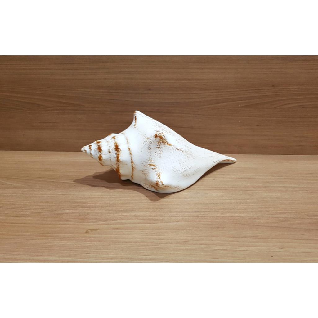 Concha Buzios em Cerâmica Branca | Selecto Locações