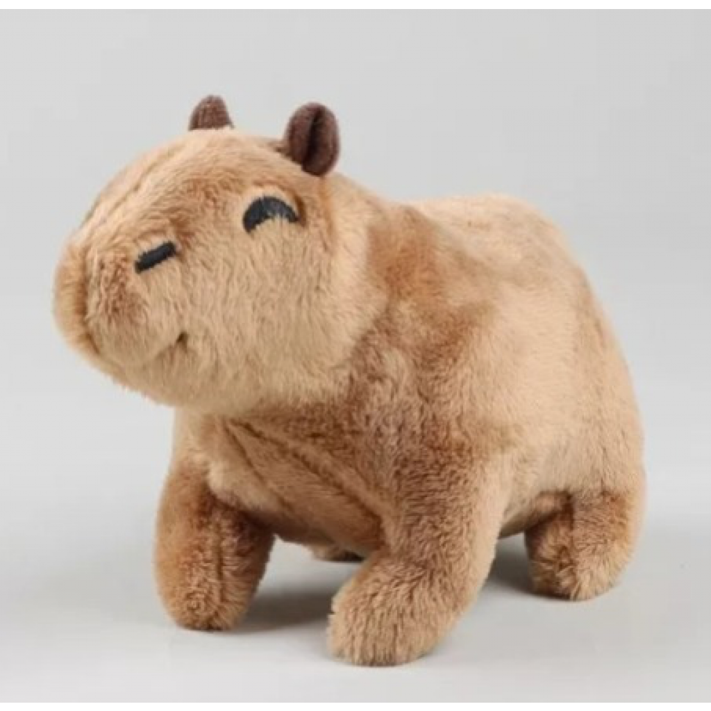 CAPIVARA