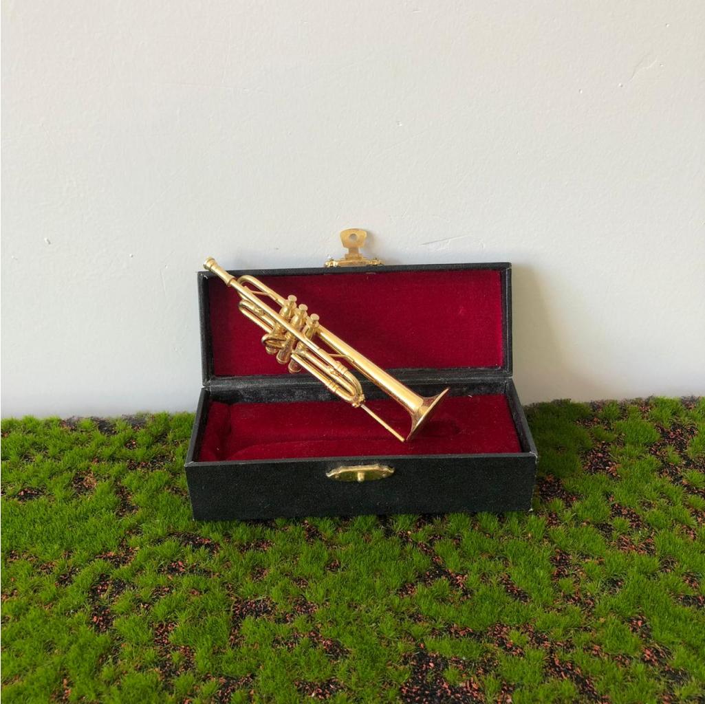 Mini trompete dourado na caixa