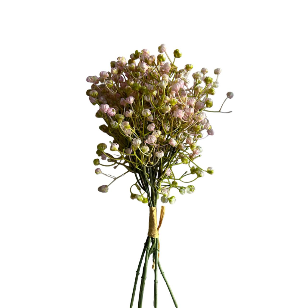 Gipsofila Rosa
