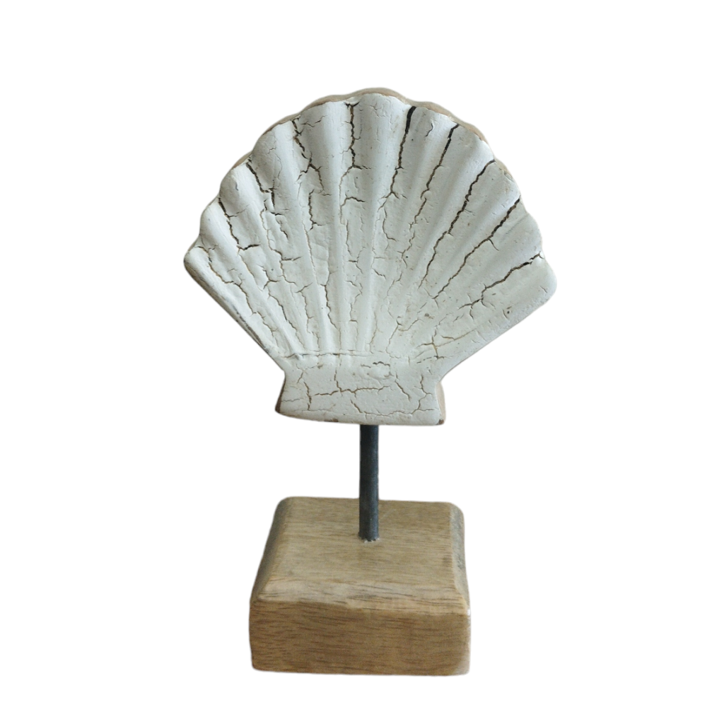 CONCHA DECORATIVA EM MADEIRA PATINA - P