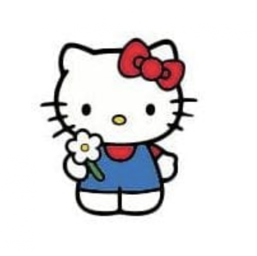 Hello kitty com flor display pvc 25A