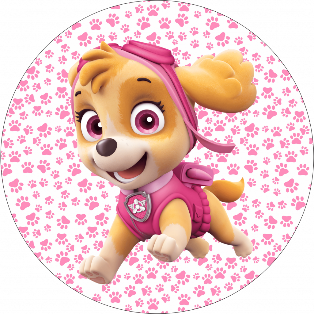 PAINEL SUBLIMADO SKAY