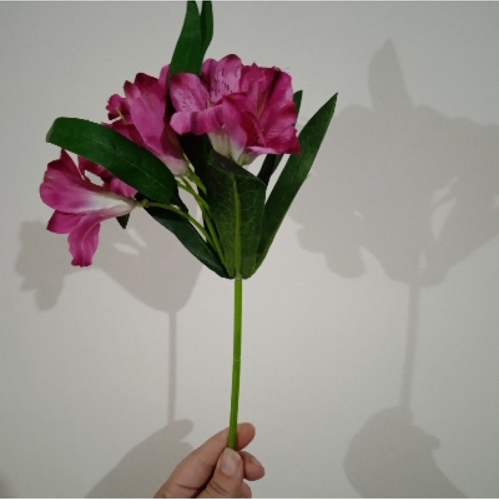 FLOR ASTROMELIA PINK