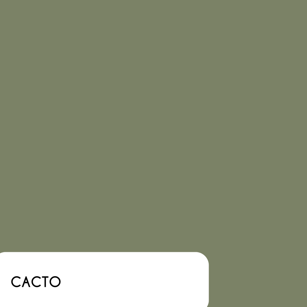 COR CACTO