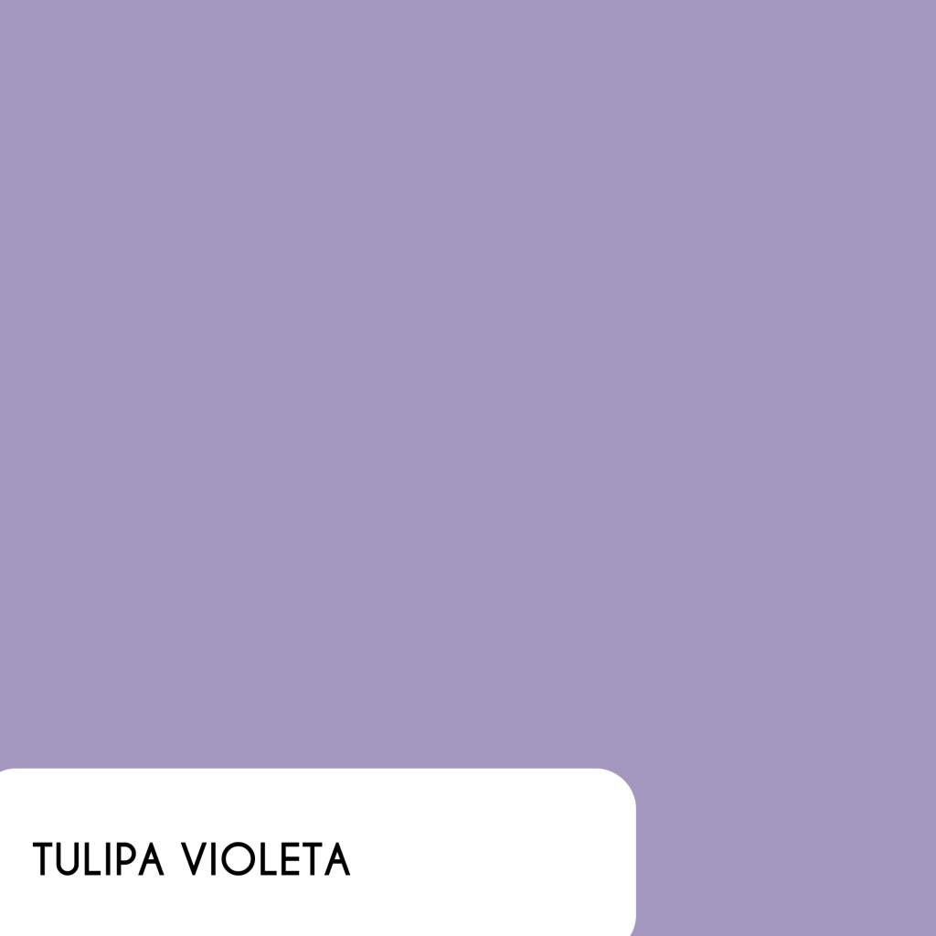 COR TULIPA VIOLETA