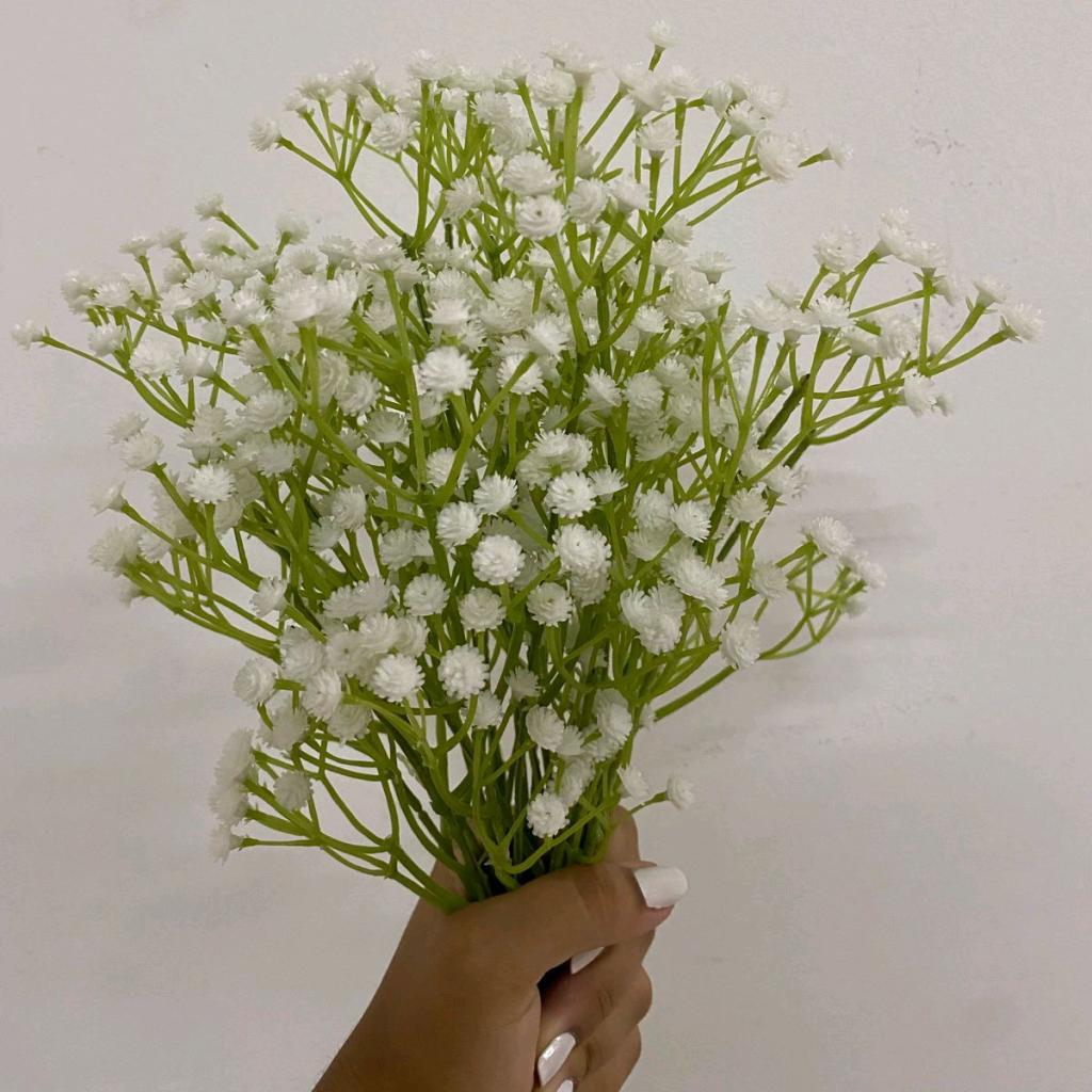 Folhagem Mosquitinho