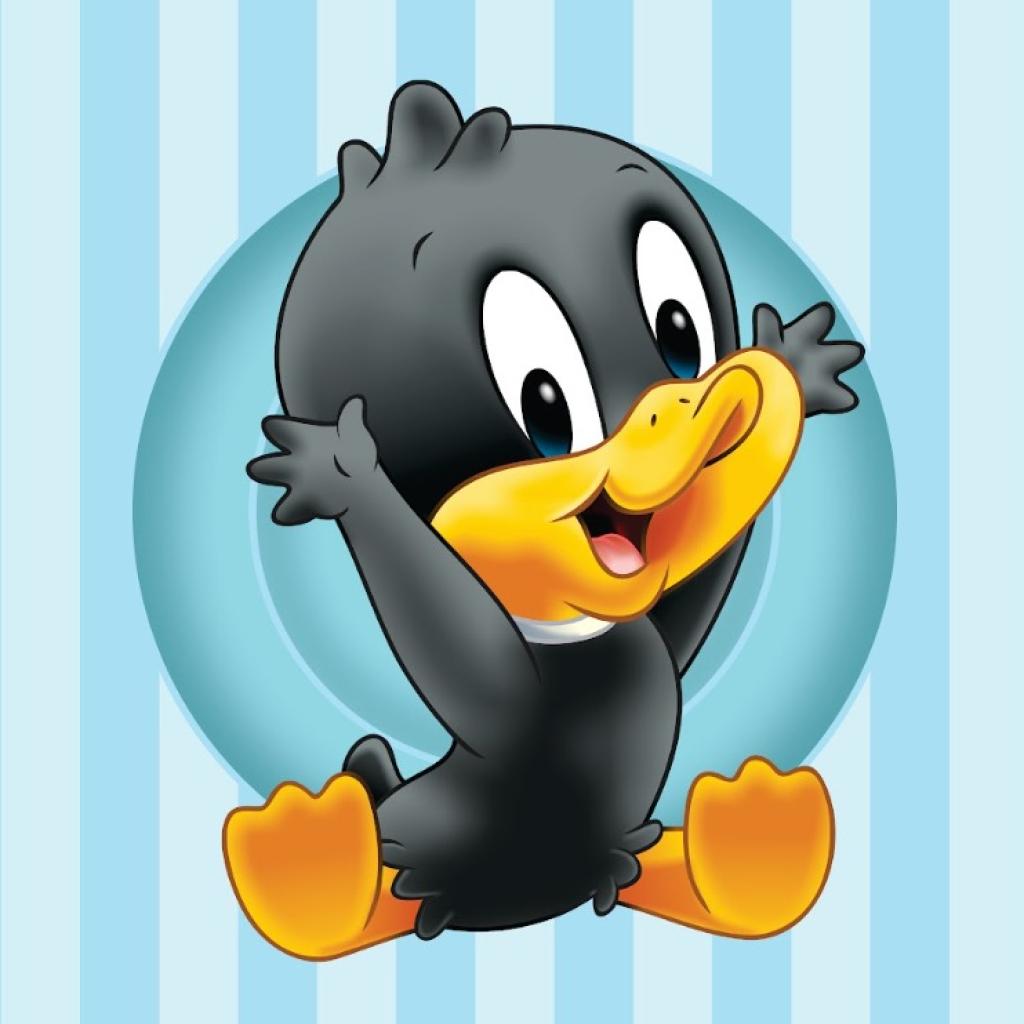 Quadro Patolino Baby Looney Tunes | 40x40